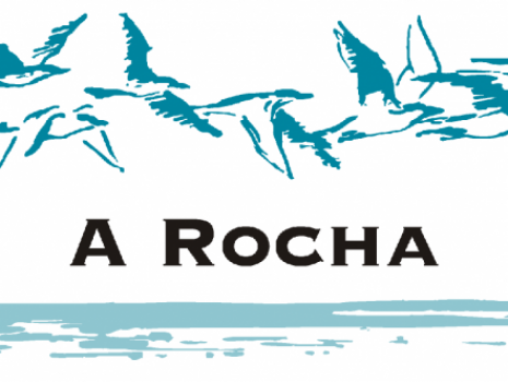 A Rocha Den Haag - Zelfdoen